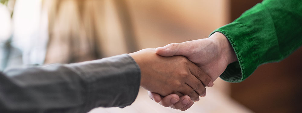 Shop | Consulting Programs | Magnolias Consulting